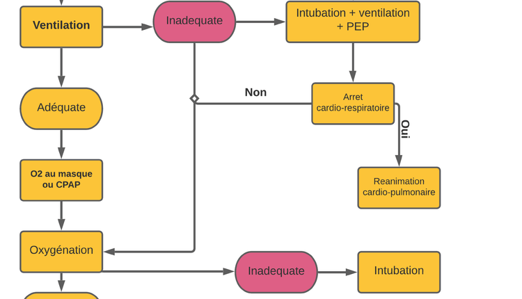 Physiopathologie noyade | Rea ICU