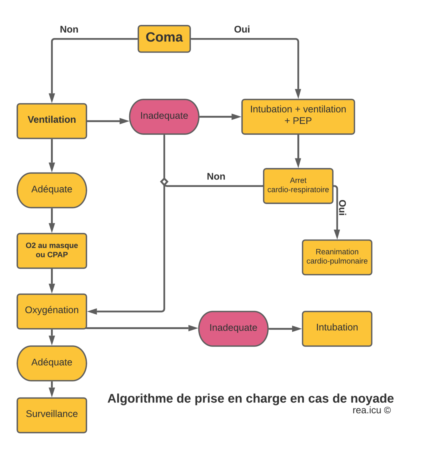 Noyade definition physiopathologie consequences et traitement | Rea ICU